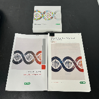 Bio-Rad CFX Opus 384 Real-Time PCR System | Surplus Solutions